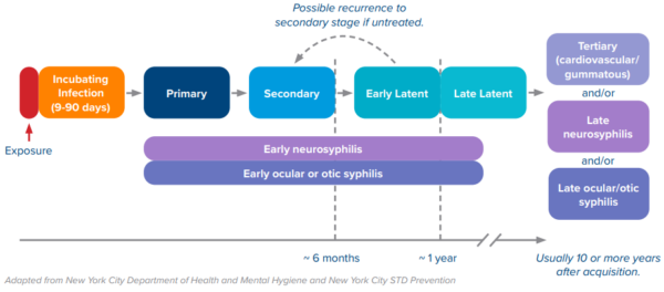 Syphilis Information for Providers - Yakima